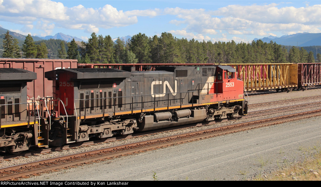 CN 2553